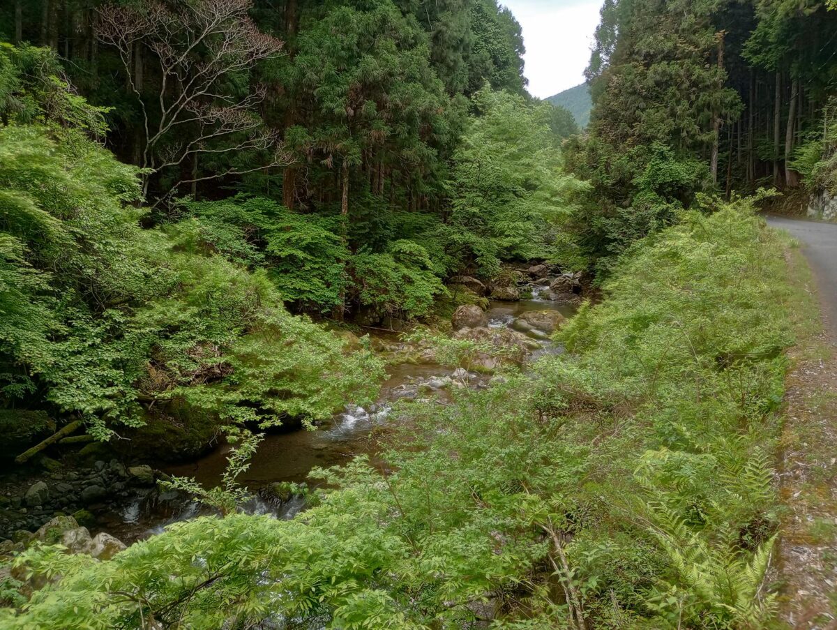 Private 202X – 2020年代の個人的記録